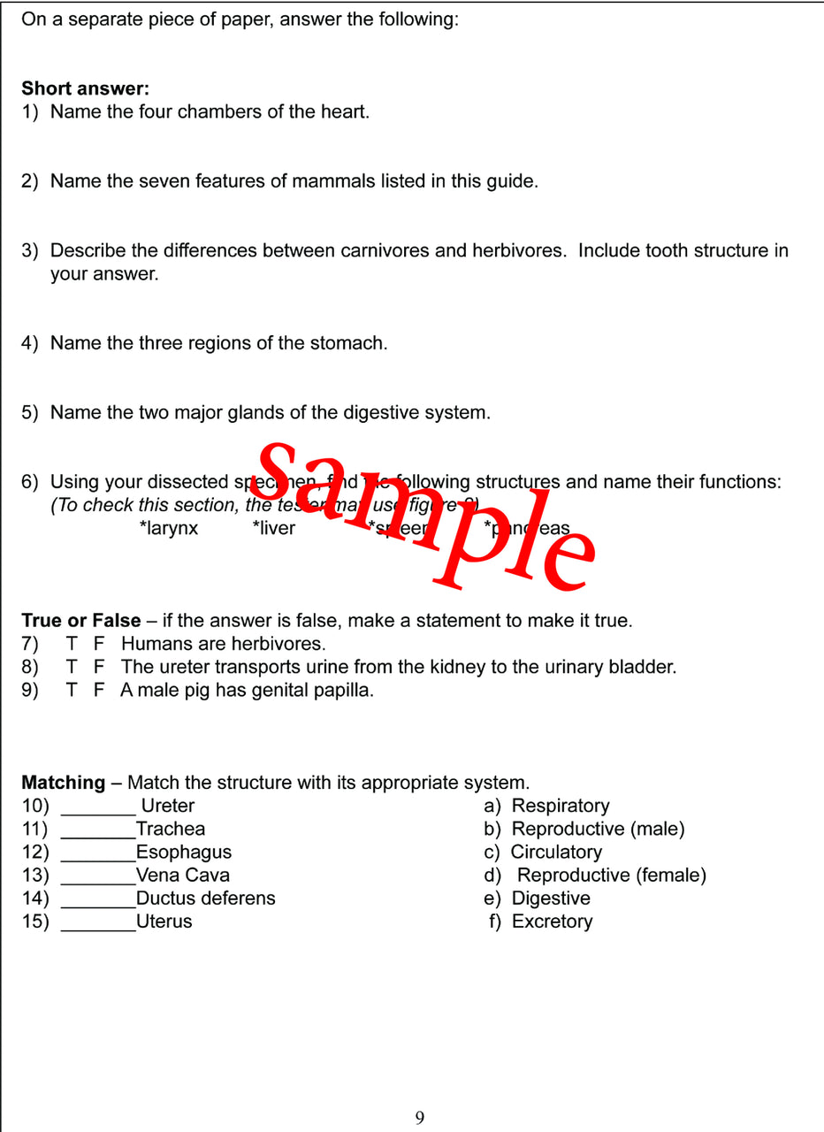 Frog Dissection Packet - Intermediate