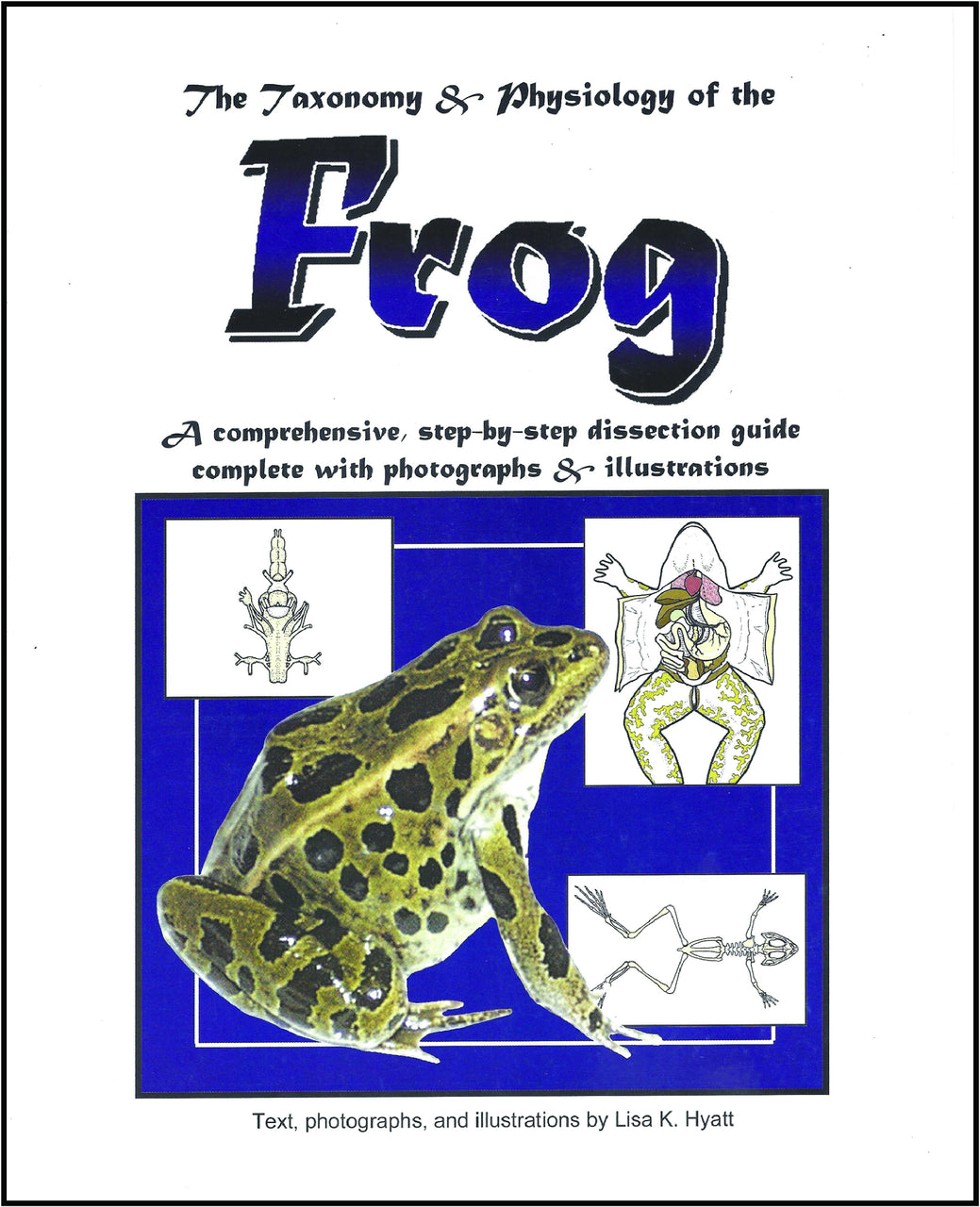 Frog Dissection Reference Guide