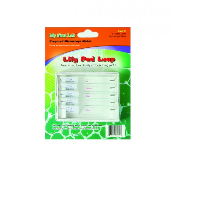 Lily Pad Leap Slide Set