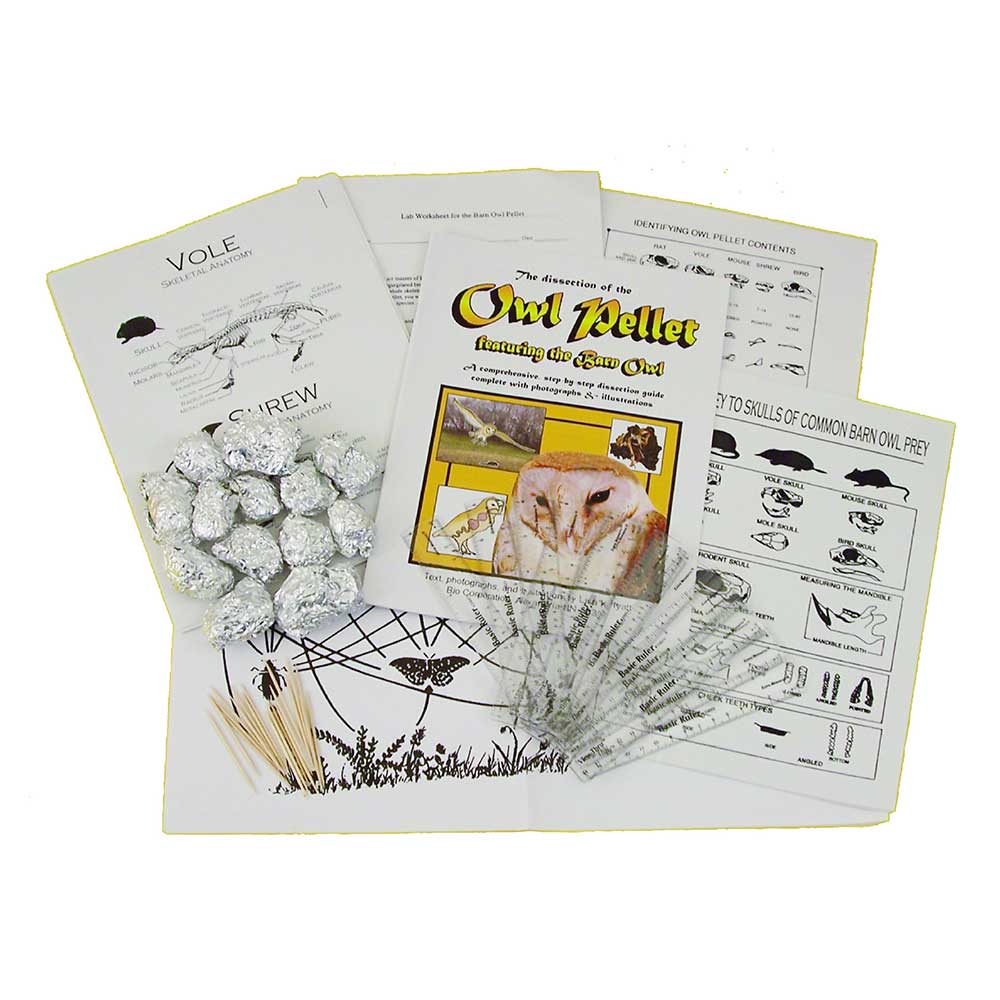 identification owl pellets