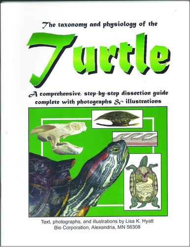 turtle dissection guide