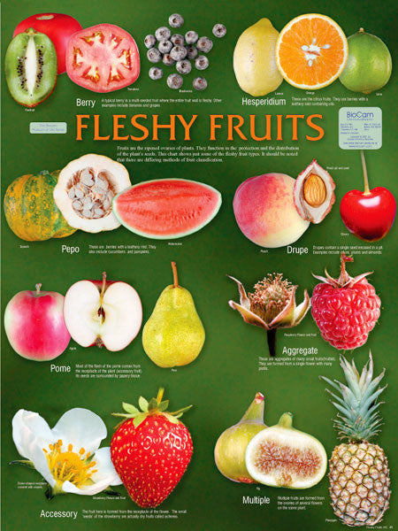 aggregate fruit list