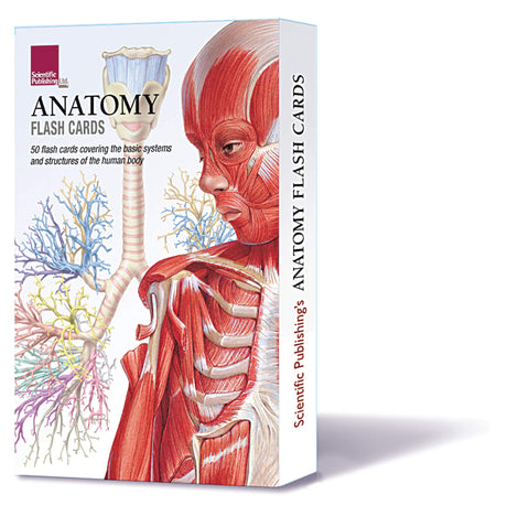 Flash Cards - Anatomy Flash Cards