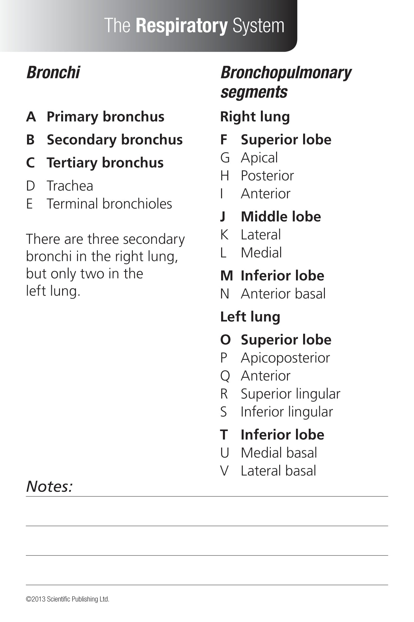 Flash Cards - Anatomy Flash Cards