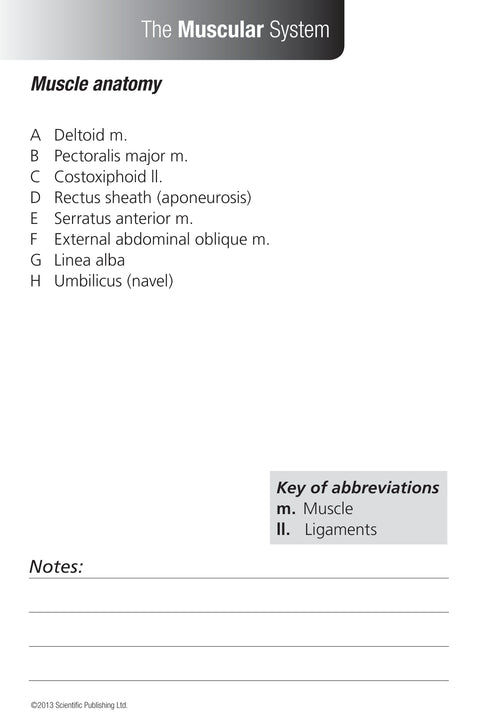 Flash Cards - Anatomy & Physiology Flash Cards