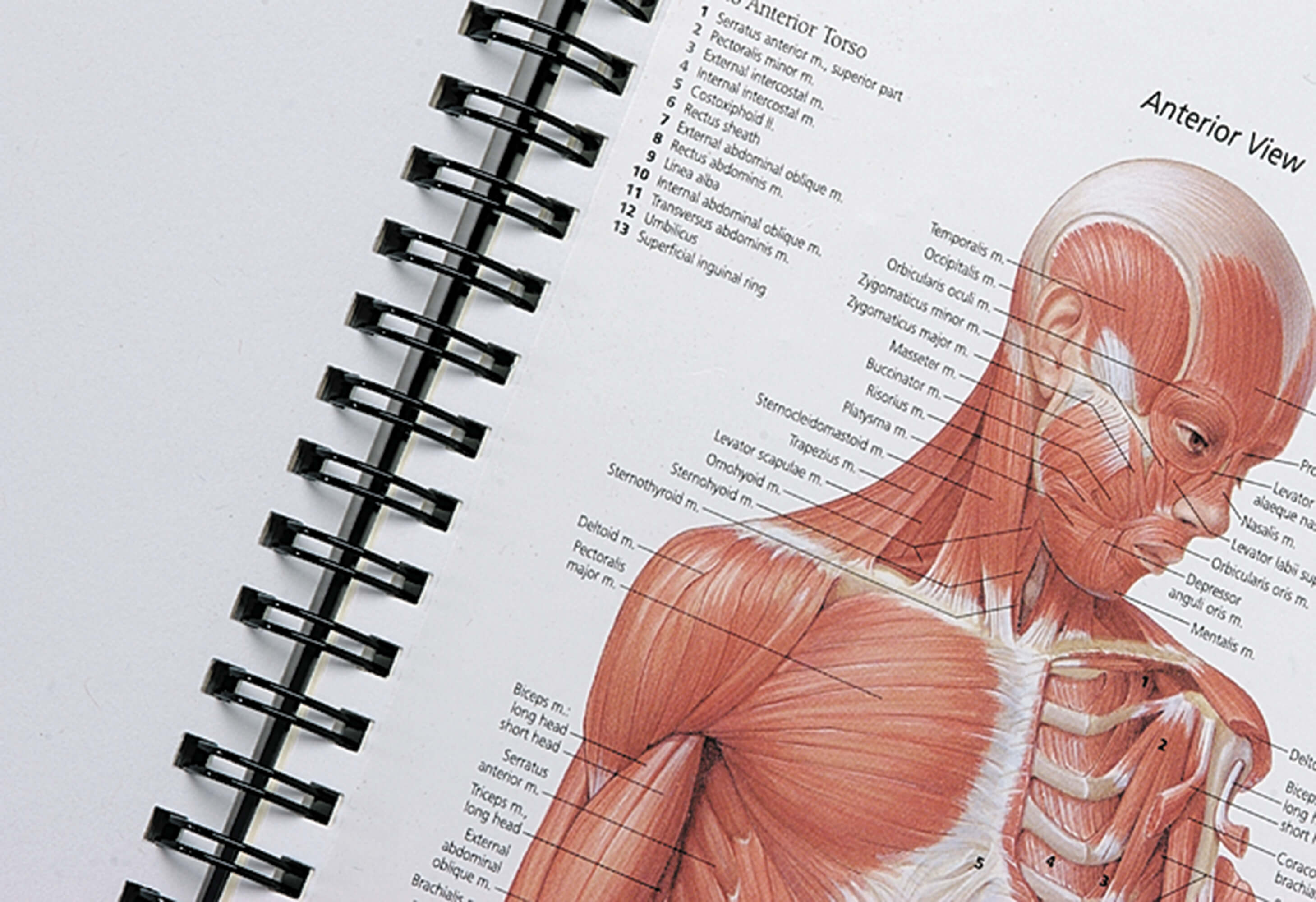 Book - The Illustrated Portfolio of Human Anatomy and Pathology