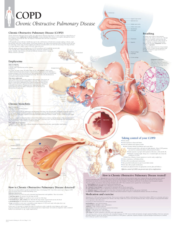 Chart - COPD