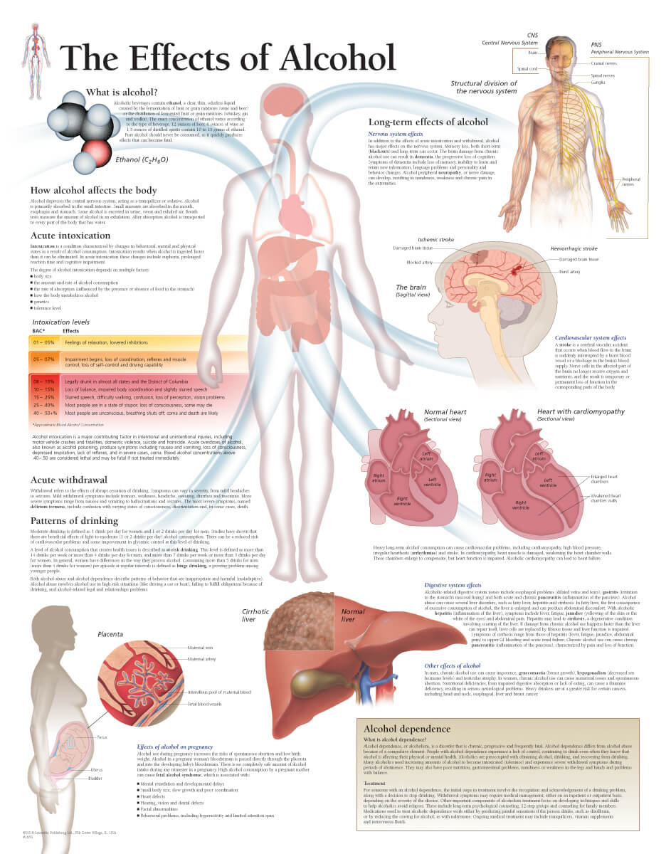 Chart - Effects of Alcohol