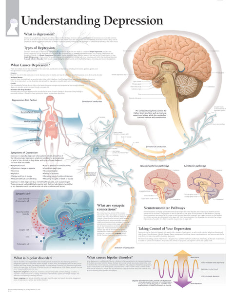 Charts - Understanding Depression