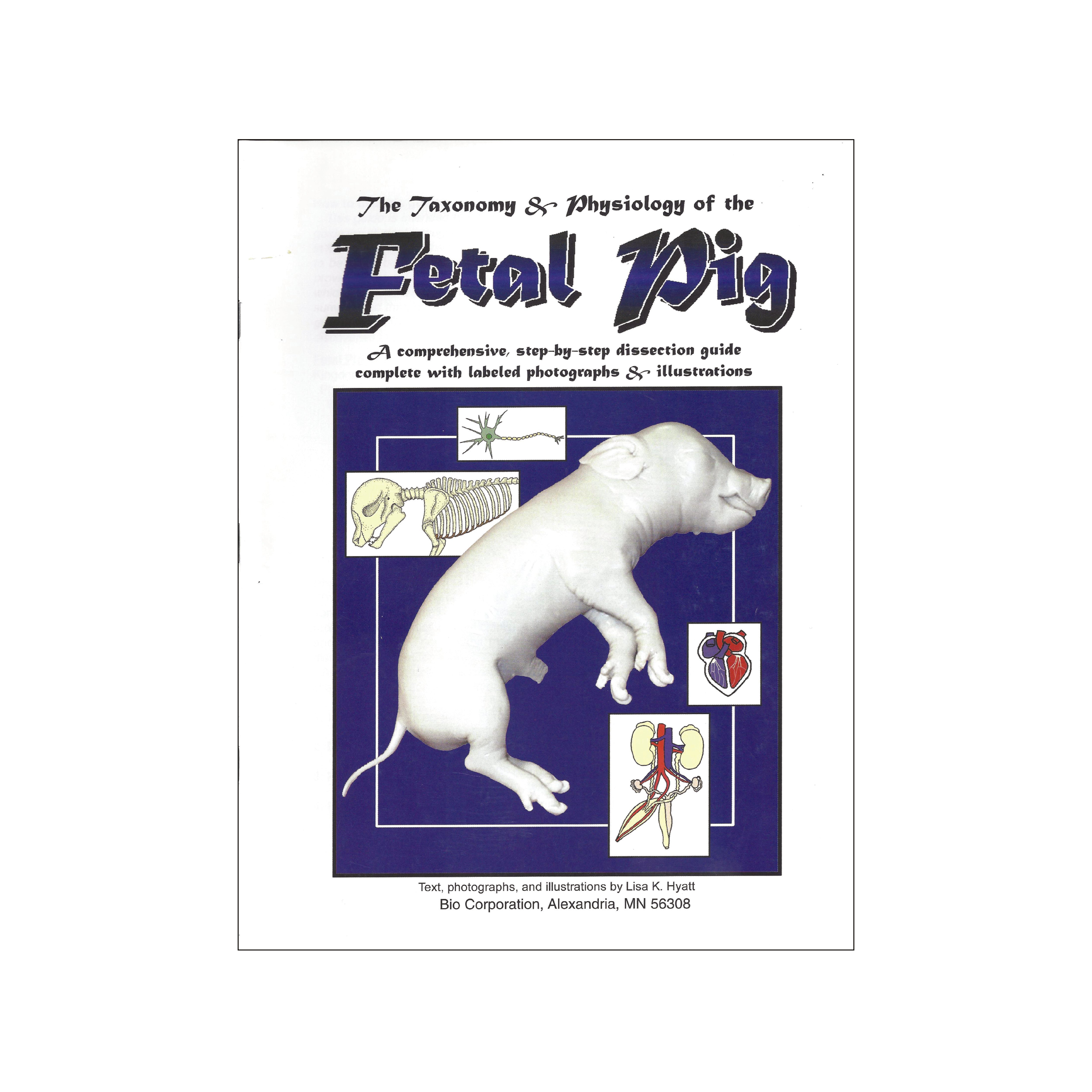 Class Set - Fetal Pig