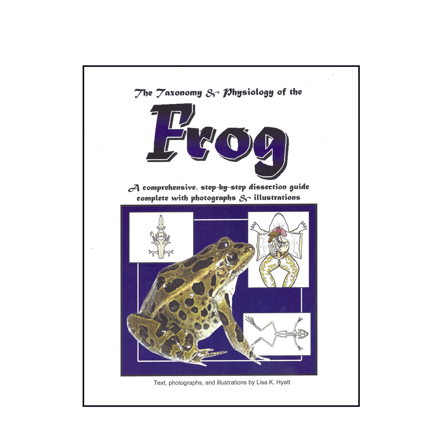 Class Set - Leopard Frog