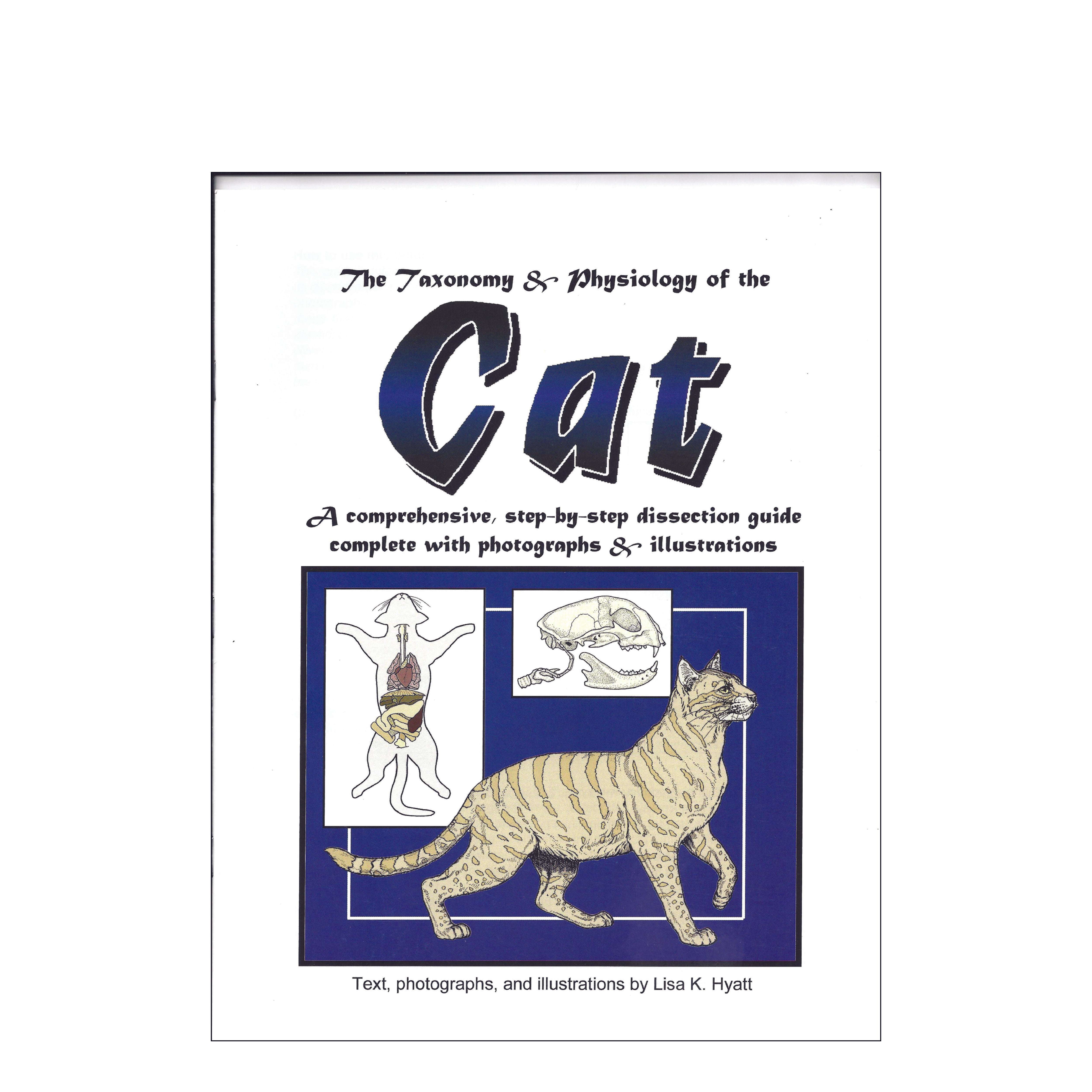 Class Set - Cats - Skinned