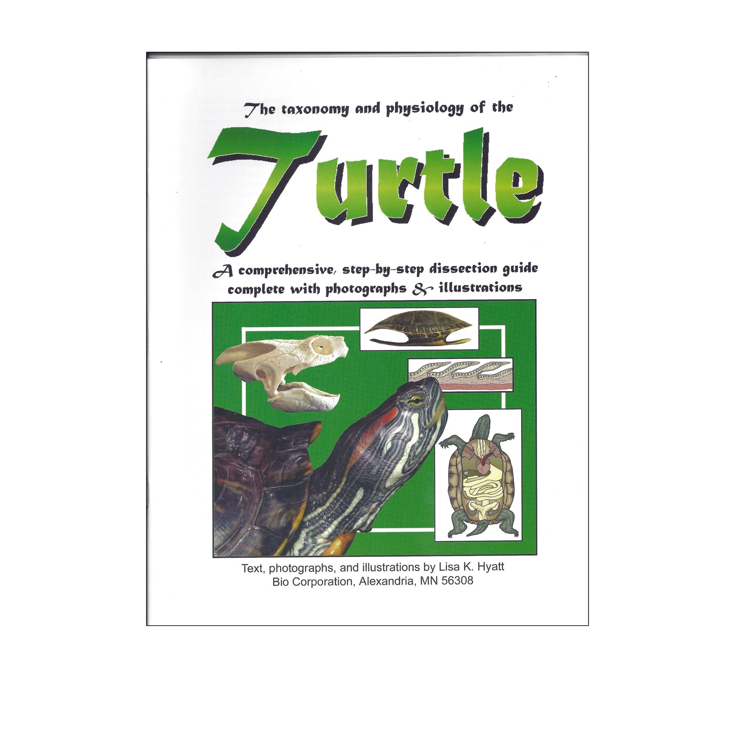 Reptile Specimens | Turtle Dissection | Bio Corporation