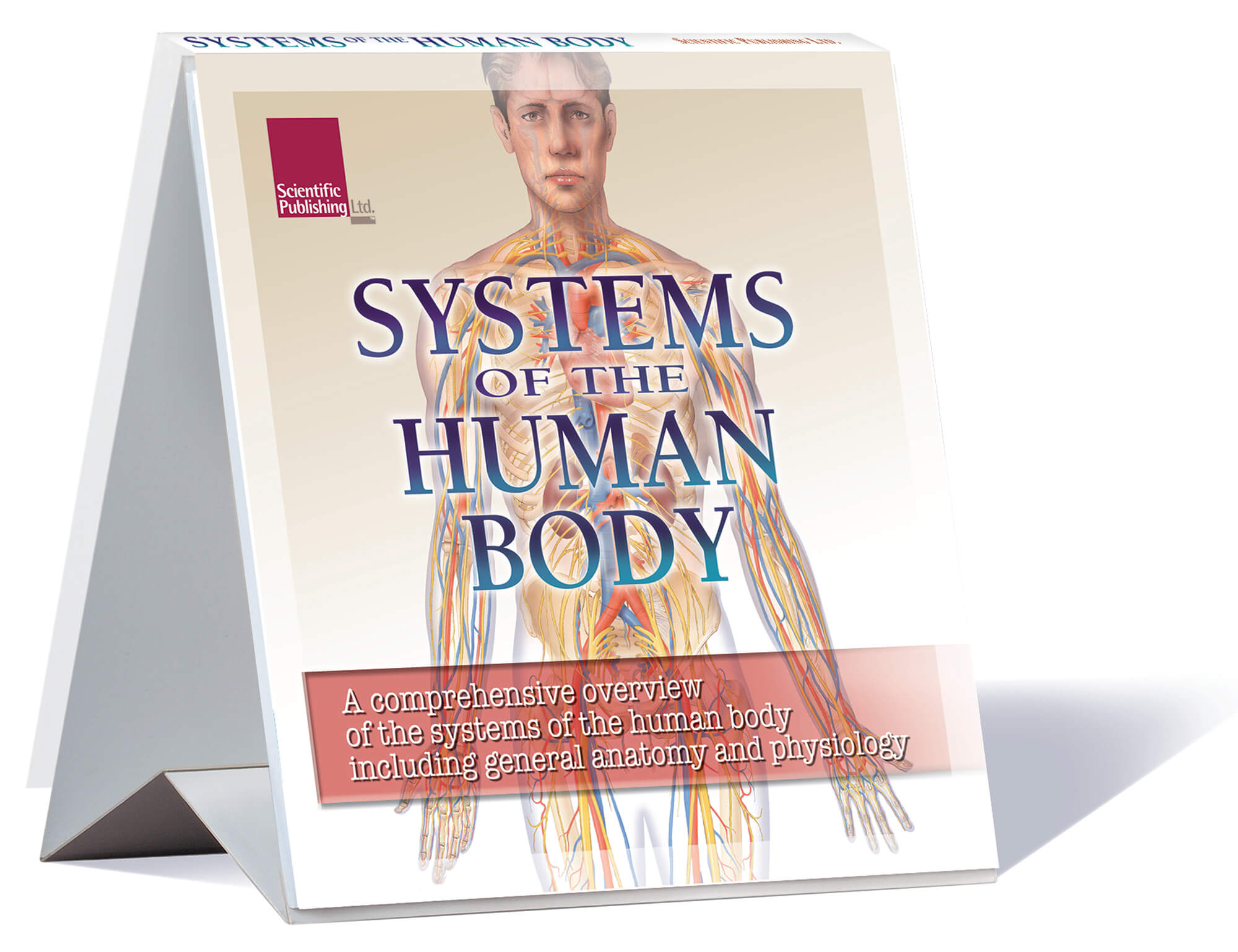 Flip Chart Set - Systems of the Human Body Laminated Chart Set