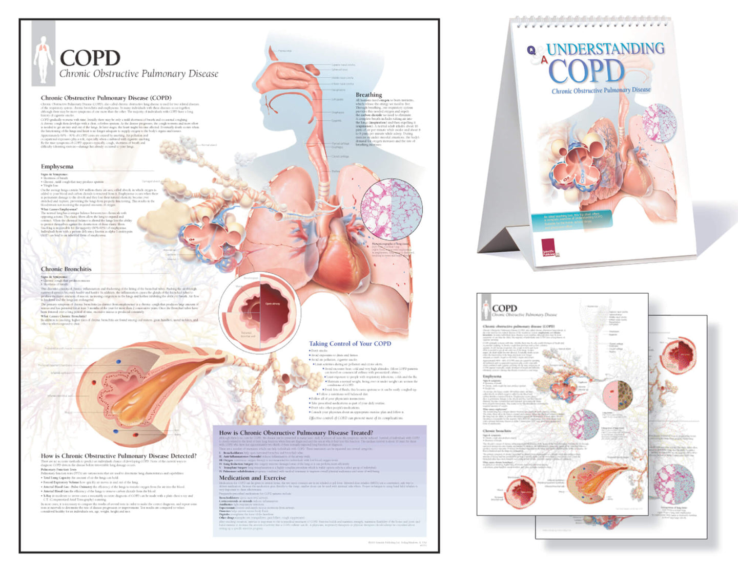 Study Set - Understanding COPD Study Set