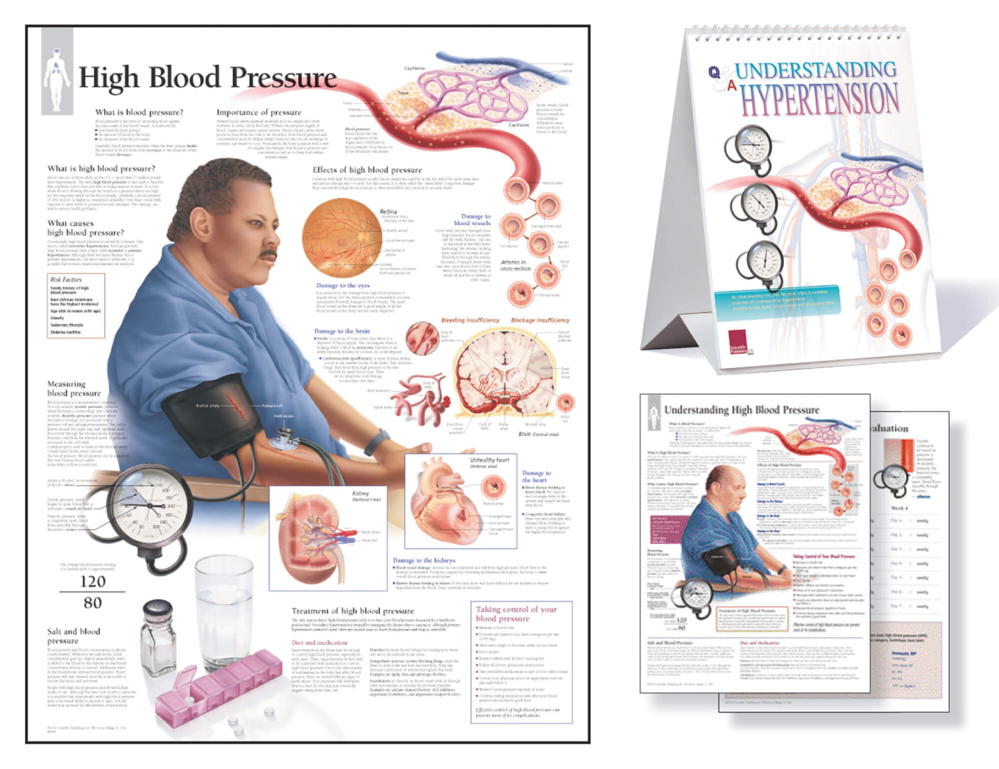 Study Set - Understanding Hypertension Study Set