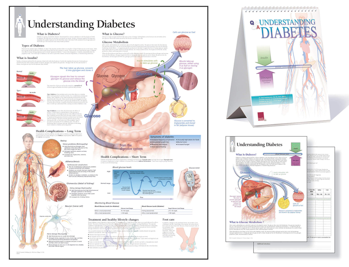 Study Set - Understanding Diabetes Study Set
