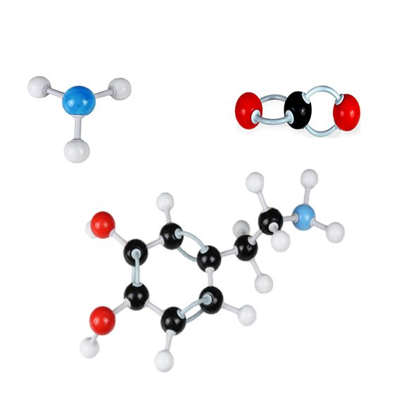 Molecular Model Set