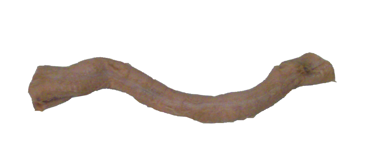 Beef Spinal Cord 6" section