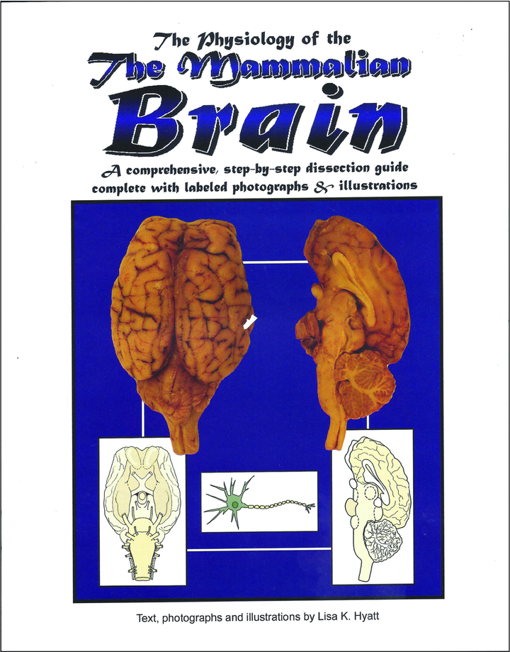 Brain Dissection Reference Guide