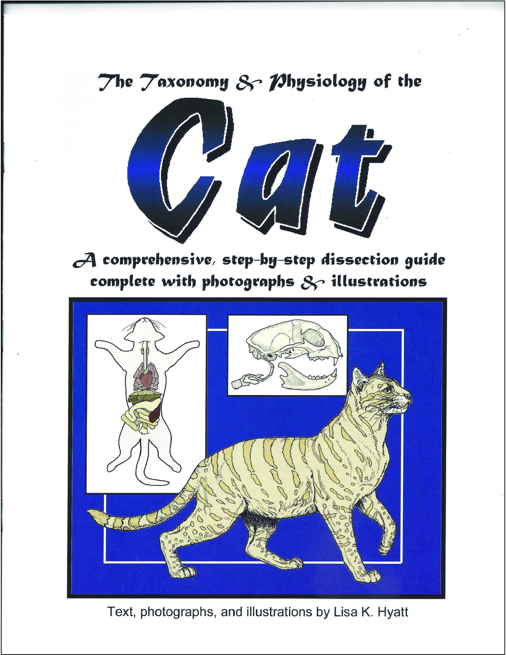 Cat Dissection Reference Guide