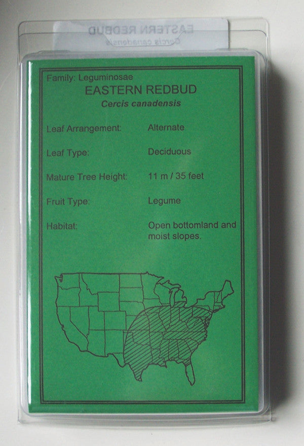 Specimen Displays – Page 3