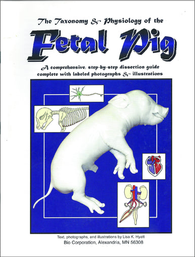 Fetal Pig Dissection Reference Guide