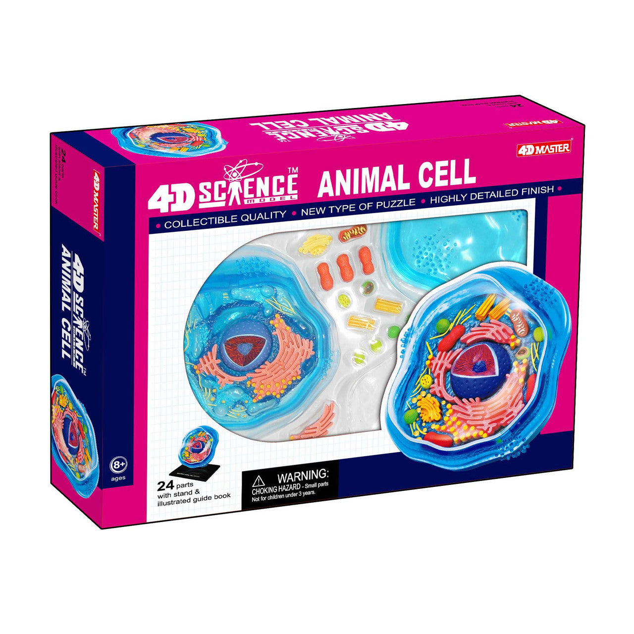4D Animal Cell Anatomy Model