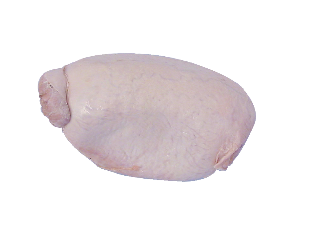 Pig Testicle