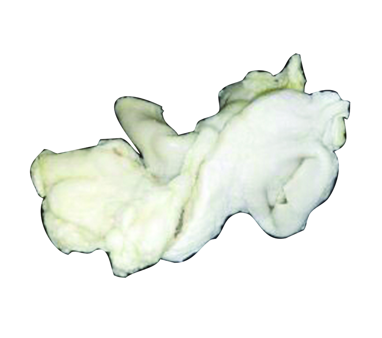 Display - Turkey Cloaca