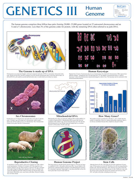 Reference Charts – Page 2