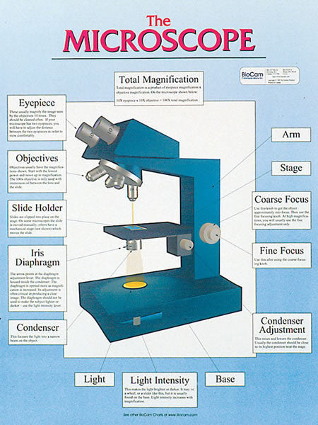 Wall Chart - The Microscope